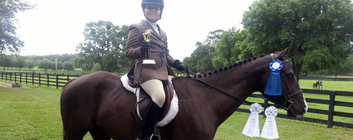 SilverStride Equestrian Center | Horseback Riding Lessons, Horse ...